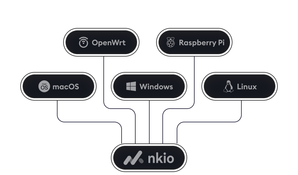 nkio - Secure Intranet Penetration | No Public IP Needed | Access Your ...